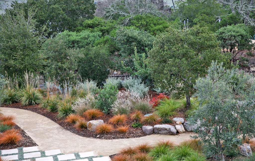 Garden Whispers - Vision Scapes and Associates