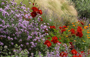 Garden Whispers - Vision Scapes and Associates