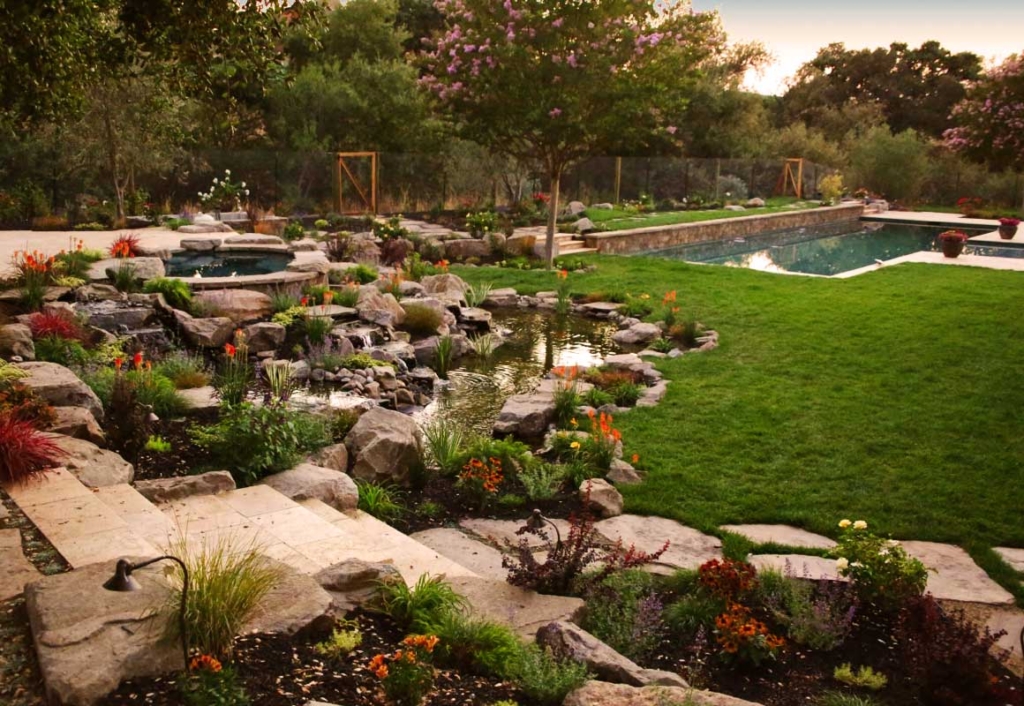 Aquatics - Vision Scapes and Associates